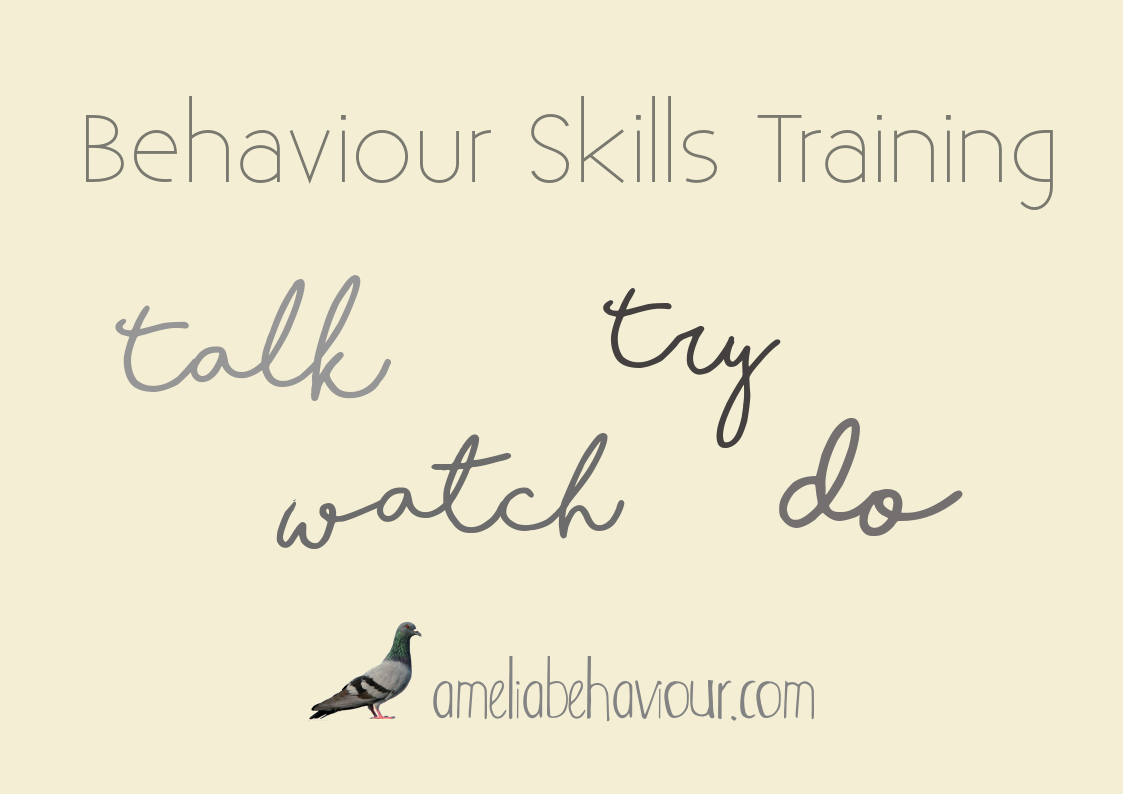 Behaviour Skills Training (BST) - ameliabehaviour